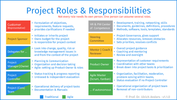 Project Roles & Responsibilities | THE PROJECT STATUS